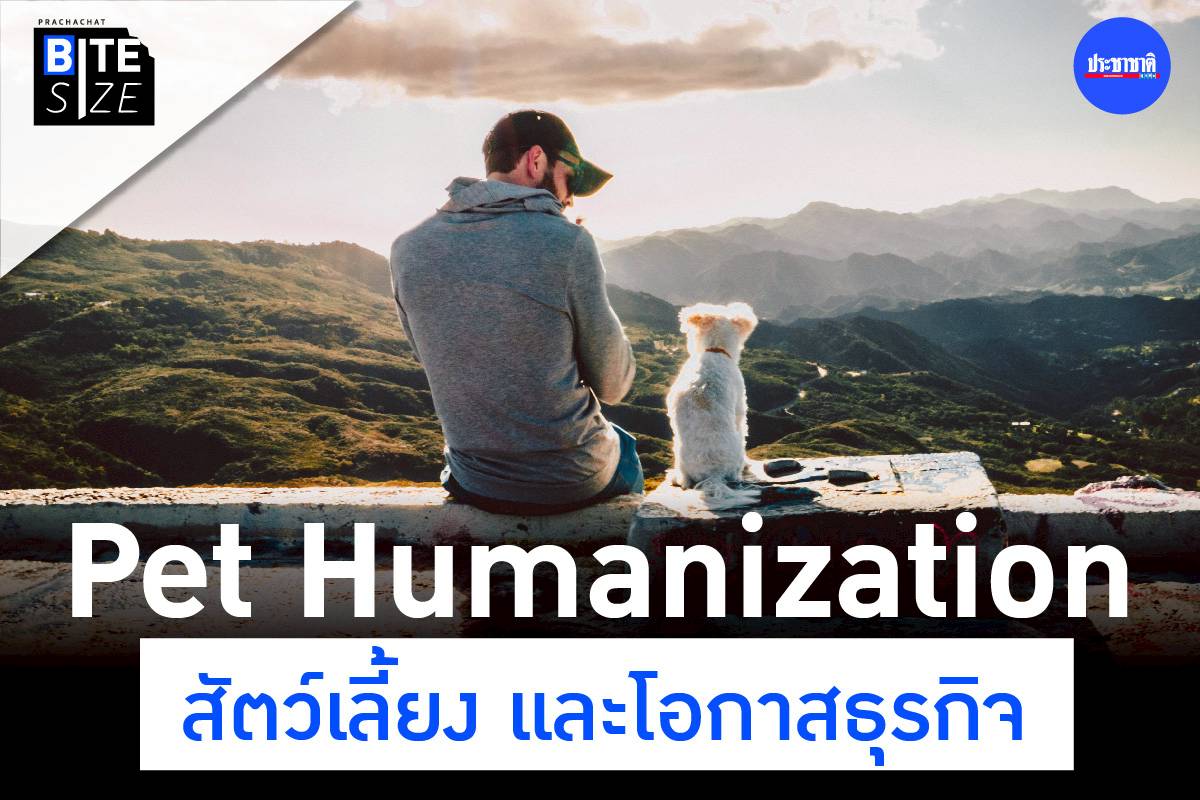 BITE SIZE : Pet Humanization โอกาสของธุรกิจเกี่ยวกับสัตว์เลี้ยง | ประชาชาติธุรกิจ | LINE TODAY
