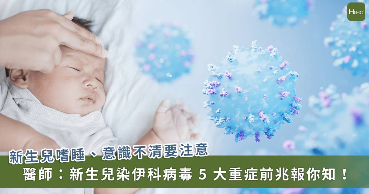 今年第 2 例新生兒感染腸病毒亡！肝炎、敗血症「伊科 11 型」奪命 | Heho 健康（台灣） | LINE TODAY