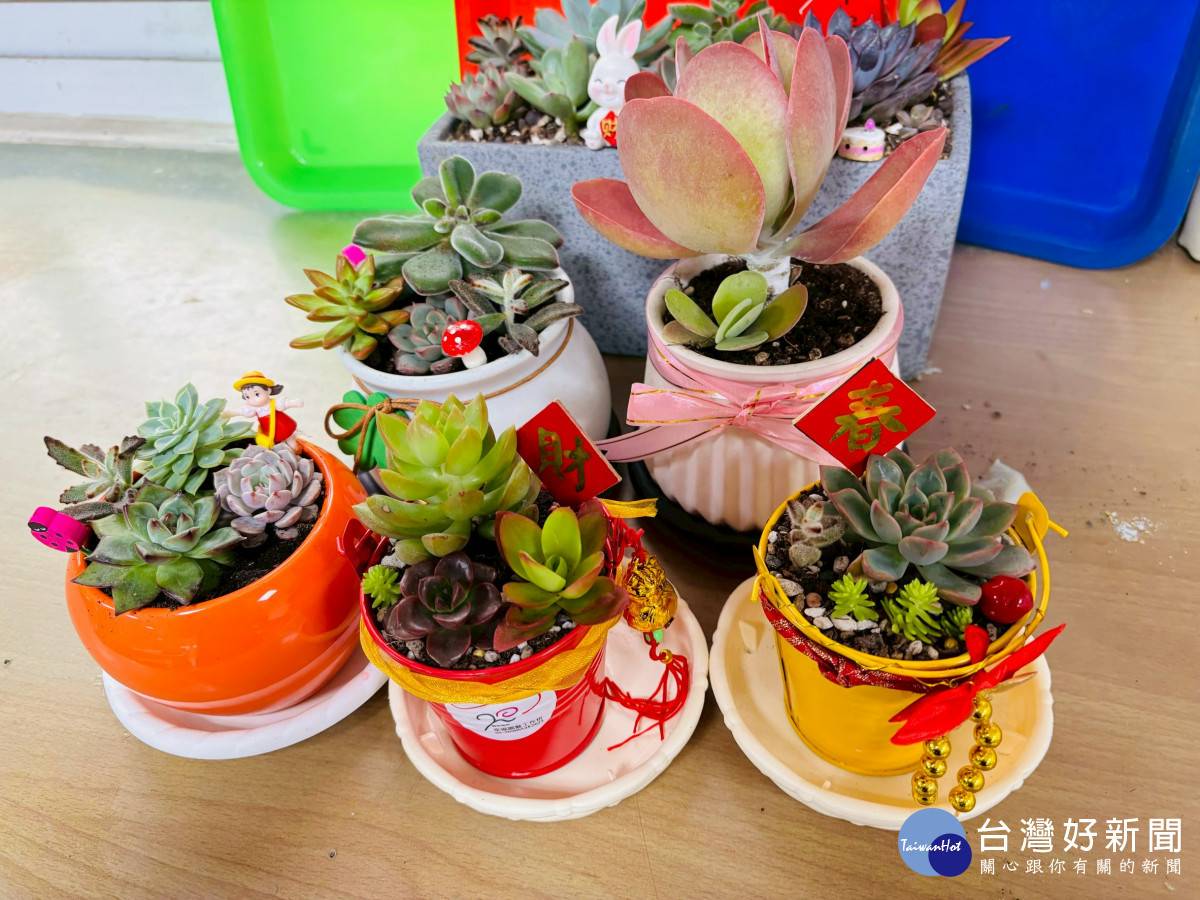 一盆植栽一份自信 桃療幸福園藝工作坊以ESG精神陪伴永續就業 | 台灣好新聞 | LINE TODAY