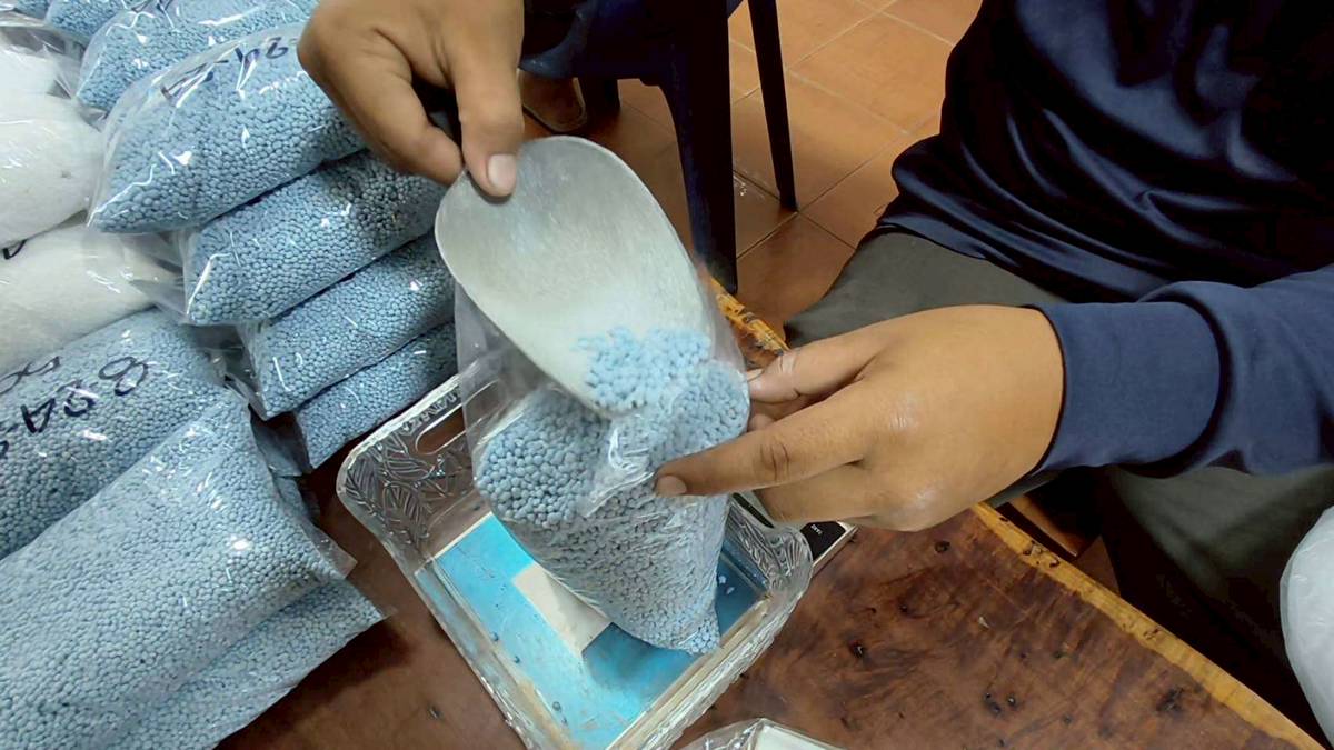 วิกฤติทำนาร้านขายสินค้าเกษตร เปิดกระสอบแบ่งปุ๋ยชั่งขายกิโลกรัมละ 20 บาท | 77kaoded | LINE TODAY