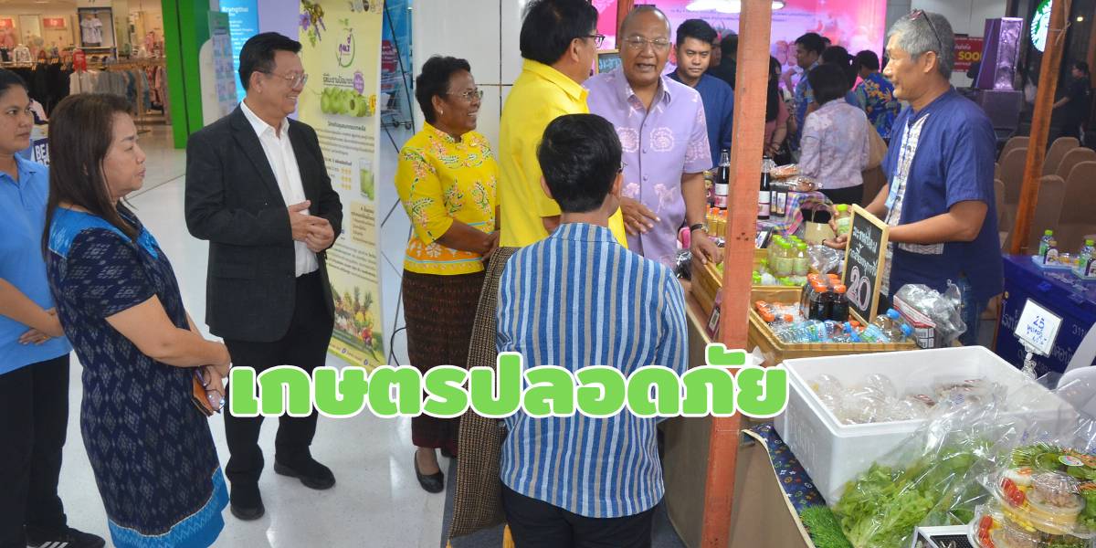 พช.หนุนจัดงานเกษตรปลอดภัย | 77kaoded | LINE TODAY