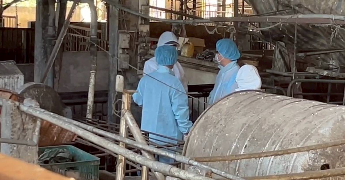 10天空窗延誤通報？中市府：「王姓獸醫佐」無執業執照 | EBC 東森新聞 | LINE TODAY