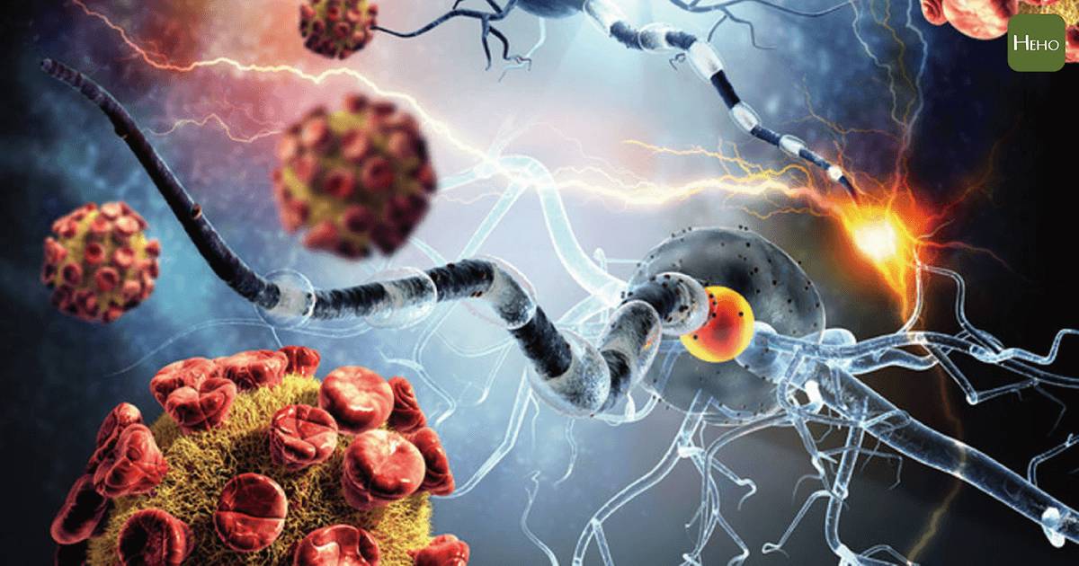 PD-1／PDL-1 到底是什麼？3分鐘讓你看懂免疫療法的原理！ | Heho健康 | LINE TODAY