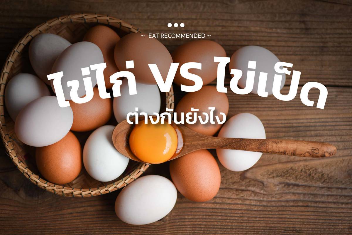 เทียบชัด ไข่ไก่ VS ไข่เป็ด ต่างกันยังไง? | EDTguide | LINE TODAY