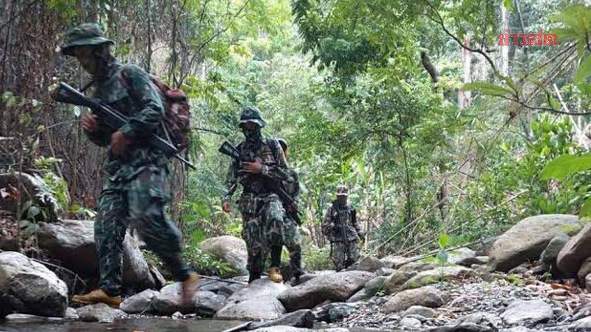 'มูลนิธิสืบฯ' สะท้อนเสือโคร่งถูกล่า งบดูแลป่าหาย แนะเจียดงบซื้่ออาวุธ เอามาดูแลทรัพยากร ...