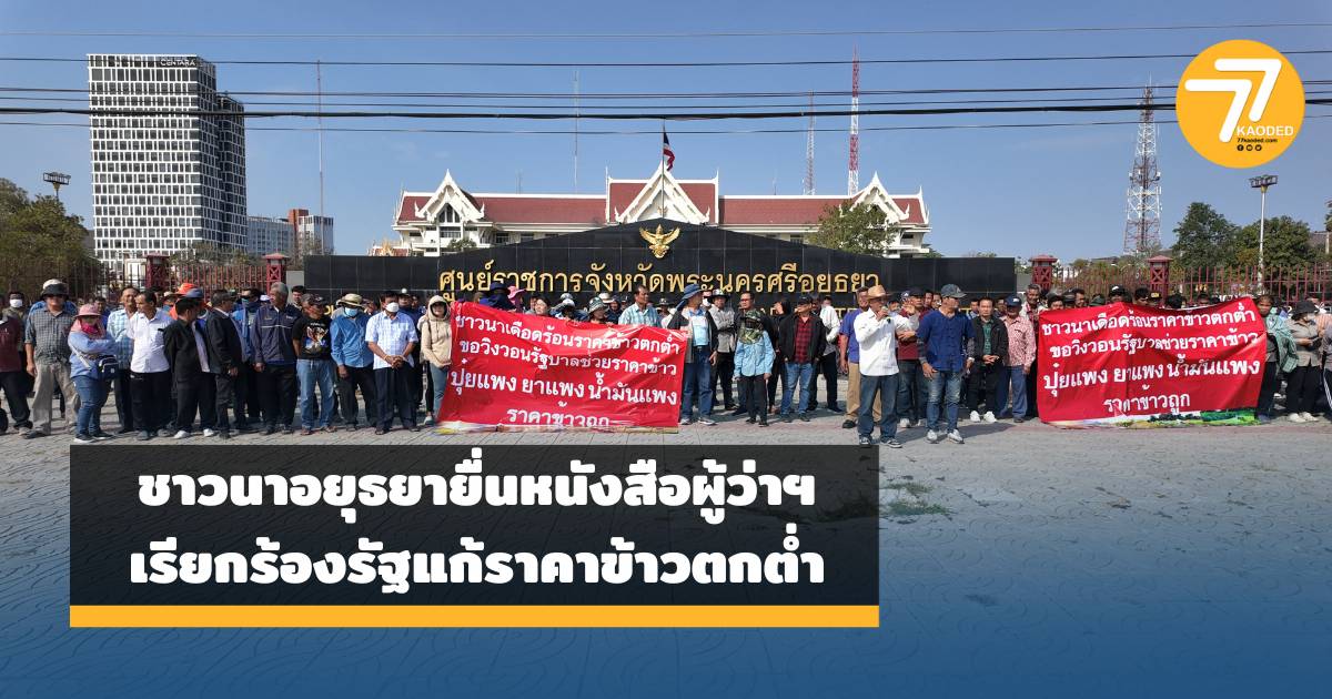 ราคาข้าวตกต่ำรัฐบาลช่วยที เงินชดเชยทุ่งรับน้ำก็ยังไม่ได้ | 77kaoded | LINE TODAY