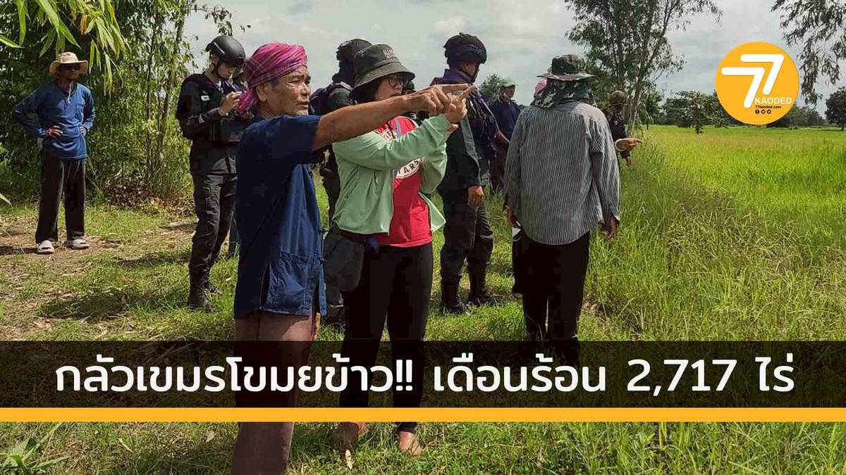 กลัวเขมรขโมยข้าว!! ทหารนำชาวบ้านหนองจาน-อ่างศิลา ลงพื้นที่ชายแดน ที่ถูกเขมรบุกรุกกว่า 2,717 ไร่ ...