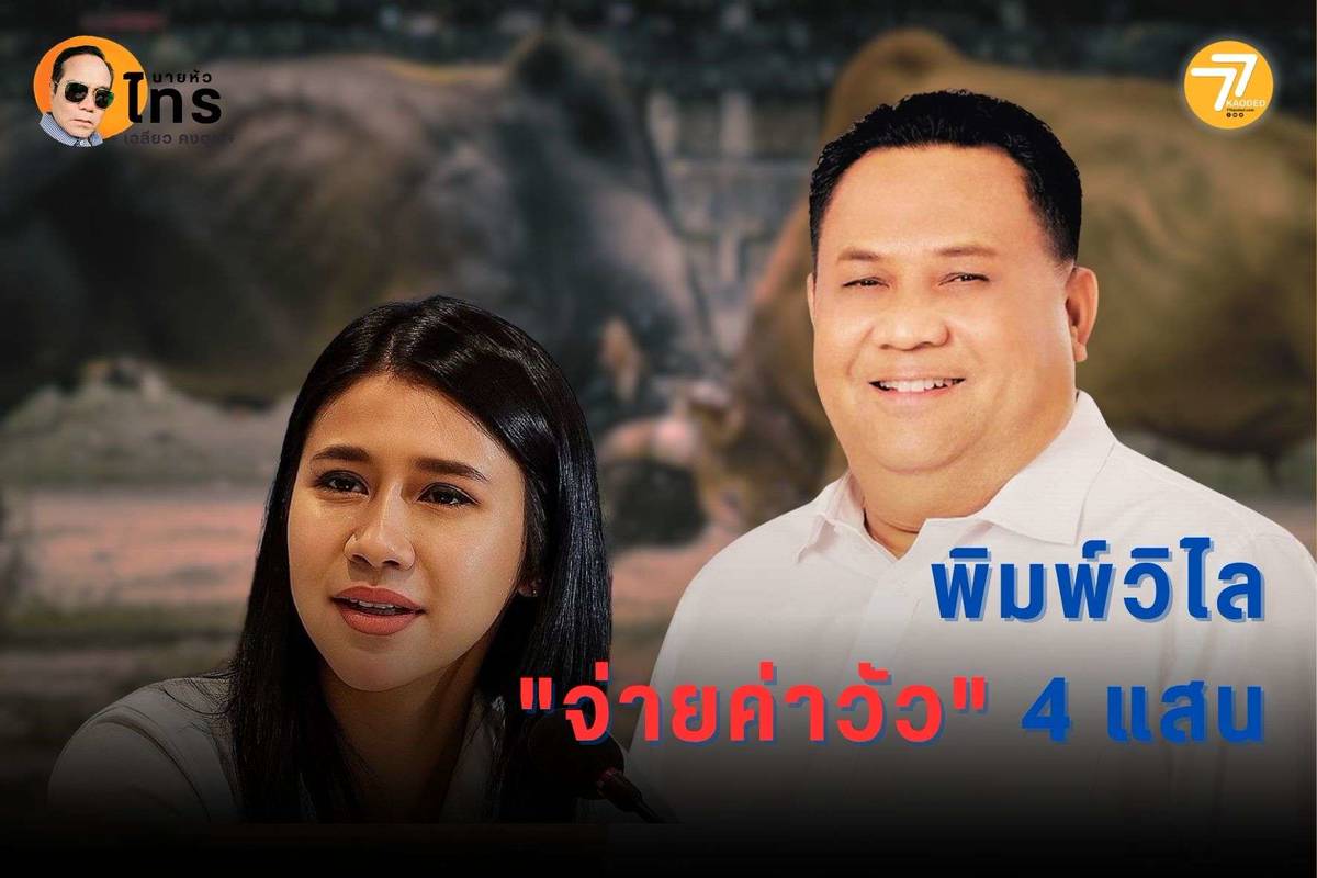 พิมพ์วิไล “จ่ายค่าวัว” 4 แสน | 77kaoded | LINE TODAY
