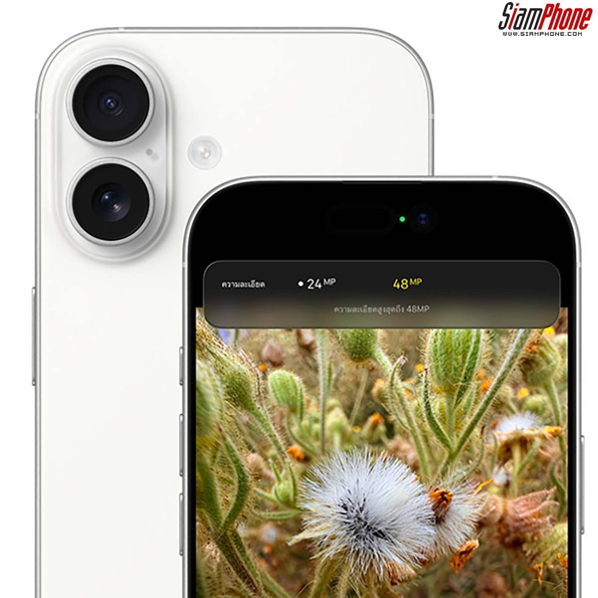 iPhone 17 มาแล้วหน้าจอ ProMotion 120Hz มีกล้องหน้า 18MP รองรับ Center Stage | Siamphone | LINE TODAY