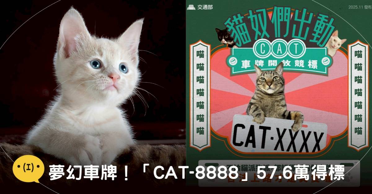 貓奴夢幻車牌！「CAT-8888」天價57.6萬得標，全台貓迷砸2025萬搶身分證車牌 | 造咖 | LINE TODAY