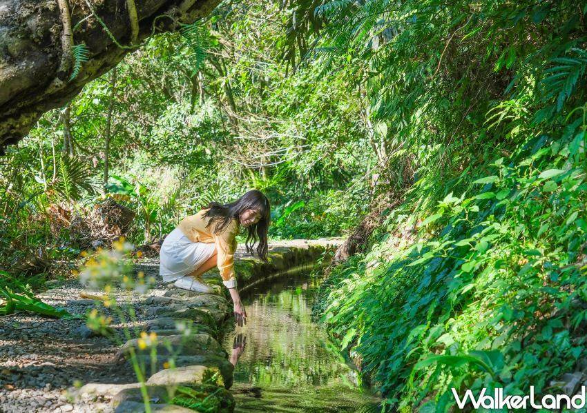 只知烏來老街很不行！烏來最美秘境「德拉楠」古圳步道、拱橋流水、櫻花相伴美出新高度，順遊吃「5選烏來美食」。 | WalkerLand 窩客島 | LINE TODAY