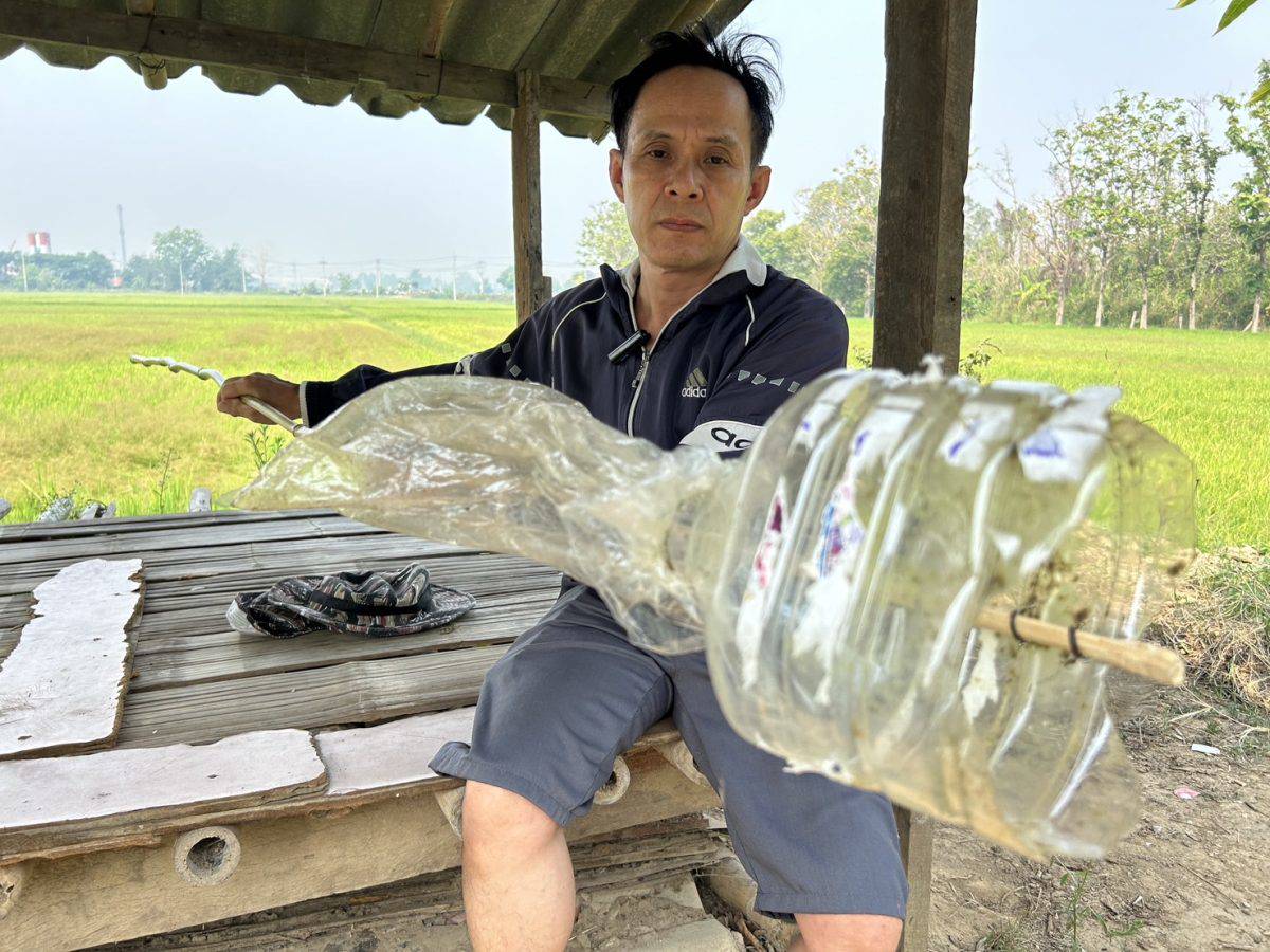 คึกคักแล้ว ล่าแมงอีนูน ของดีปีละครั้ง | 77kaoded | LINE TODAY