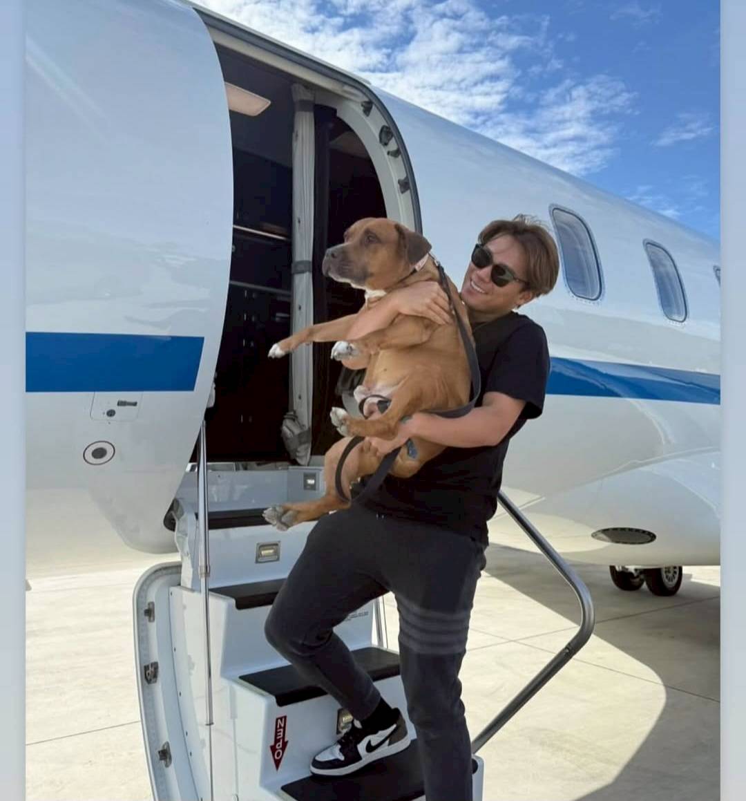 MLB》山本由伸公開愛犬名、好友是Decoy 去年受傷時跟牠相遇 | TSNA | LINE TODAY