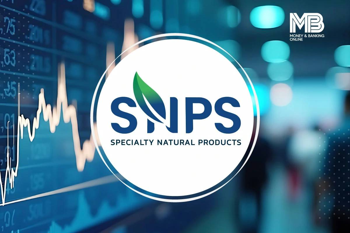 ตลท.รับ “หุ้น SNPS” เข้าซื้อขาย 29 พ.ย.67 ราคา IPO 4.2 บาท | การเงินธนาคาร | LINE TODAY