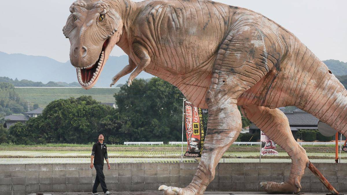 美挖出恐龍木乃伊！改寫歷史 澳洲千萬紅蟹大遷徙 | TVBS | LINE TODAY