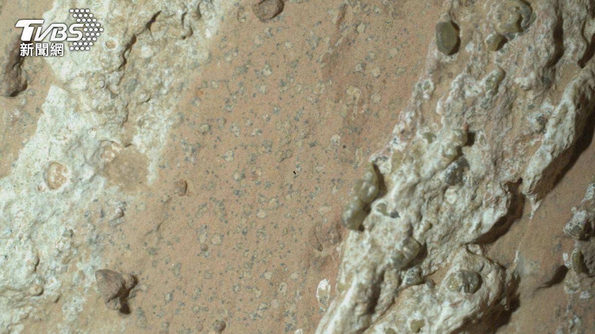 火星有生命？現「豹紋岩石」 NASA：至今最明確古代生命跡象 | TVBS | LINE TODAY