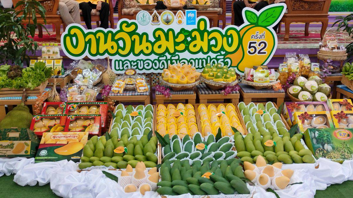 กินมะม่วงให้อร่อย เกษตรกรแนะวิธีเลือกเวลาหม่ำ ก่อนจัดงานระบายผลผลิต | 77kaoded | LINE TODAY