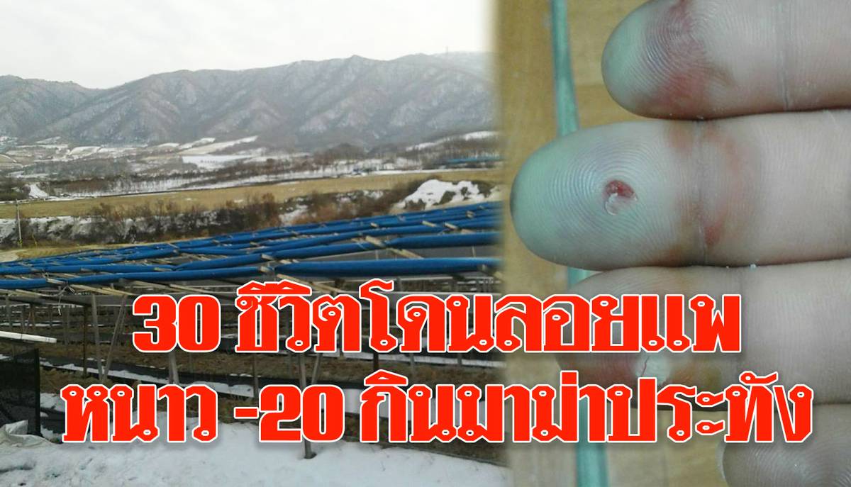 แฉนายหน้าเกาหลีลอยแพ อาศัยในตู้คอนเทนเนอร์ กินมาม่าประทังชีวิต ท่ามกลางอากาศ -20 | Khaosod ...