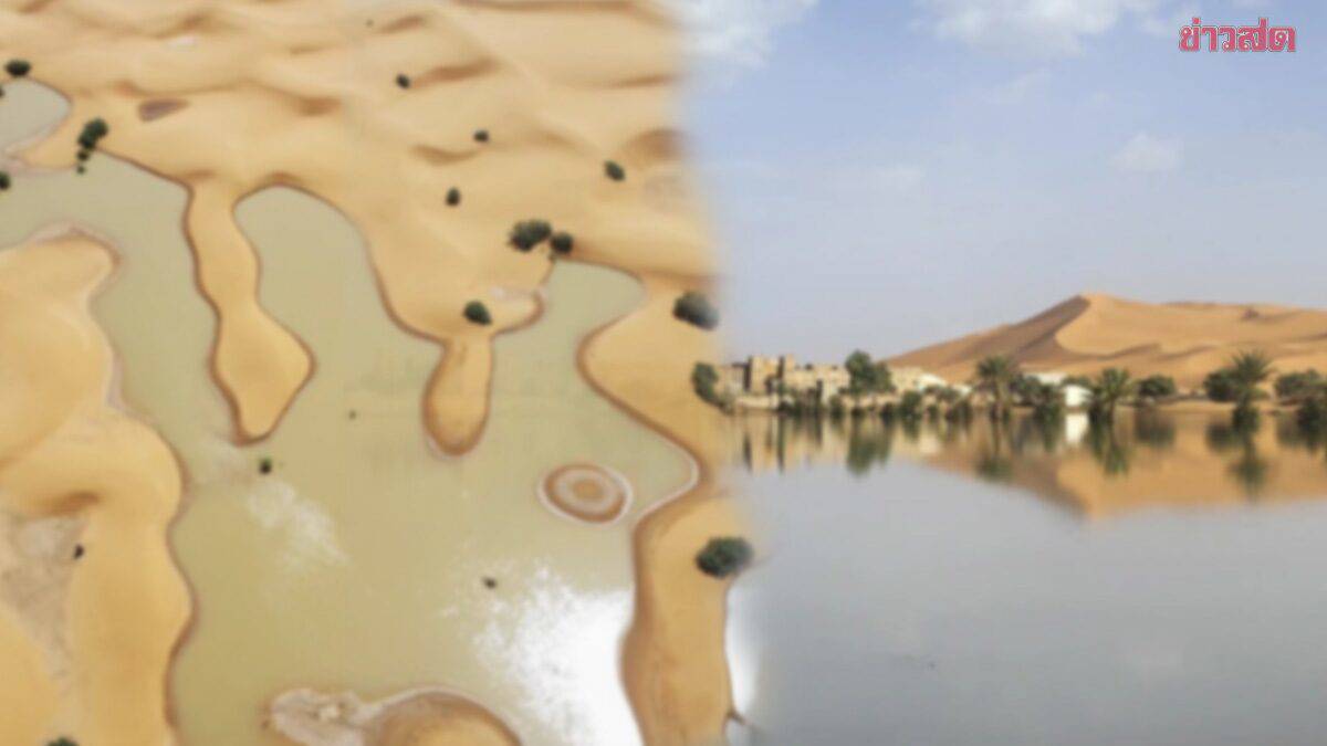ปรากฏการณ์หายาก น้ำท่วมทะเลทรายซาฮารา หลังฝนตกหนัก รอบ 50 ปี | Khaosod | LINE TODAY