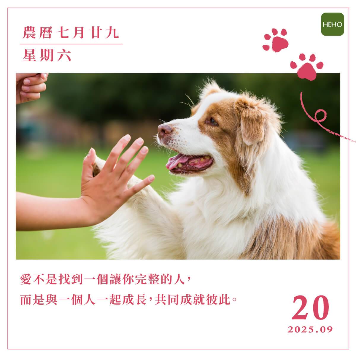 09月20日 愛是相互扶持成長，一起成為更好的人 | Heho健康 | LINE TODAY