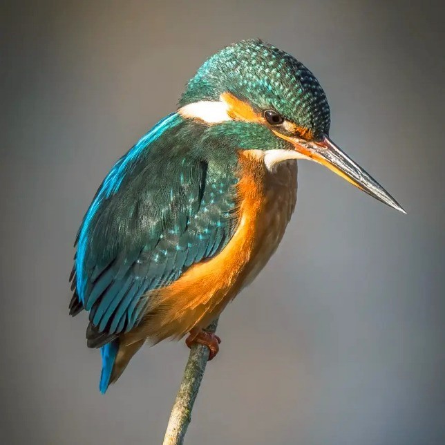 P : Ok | โปรไฟล์ | LINE TODAY แพลตฟอร์มรวมข่าวสาร-บทความ อันดับ 1 ของไทย