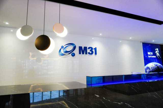 M31先進/成熟製程正面看，2025拚重返成長 | MoneyDJ理財網 | LINE TODAY