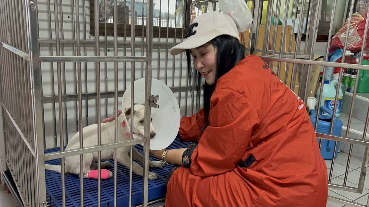 #เดอะโฮปสงขลาช่วย ลูกหมาจรอายุ 3 เดือนถูกบ่วงดักสัตว์รัดที่ข้อเท้าจนเป็นแผลลึก | 77kaoded | LINE ...