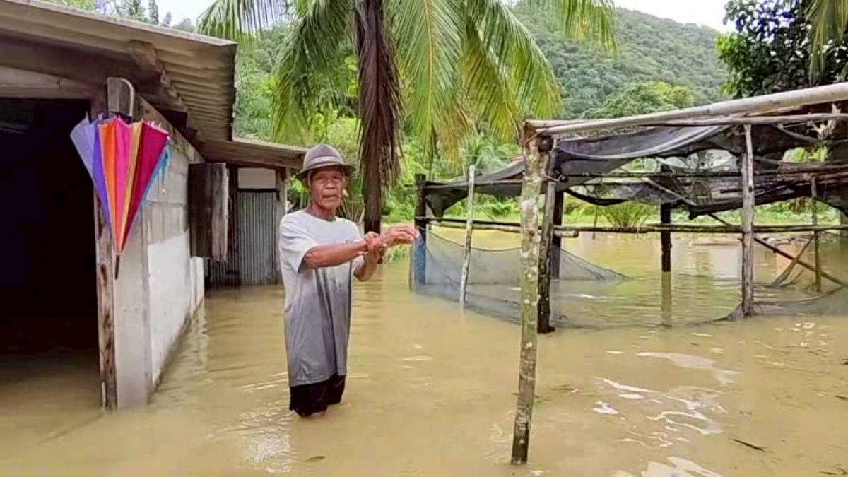 สตูลฝนตกหนักทั้งวันทั้งคืนน้ำท่วมฉับพลัน 2 อำเภอ | 77kaoded | LINE TODAY