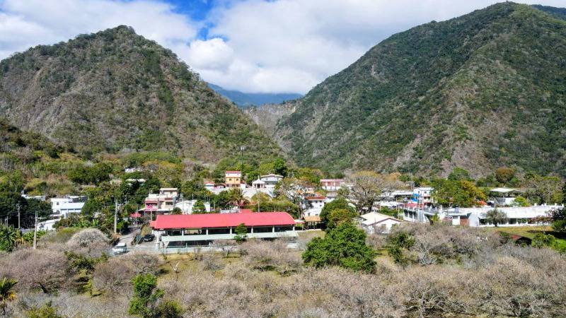 台東南橫新武部落梅花盛開宛如白雪覆蓋山頭 | 野旅行 | LINE TODAY