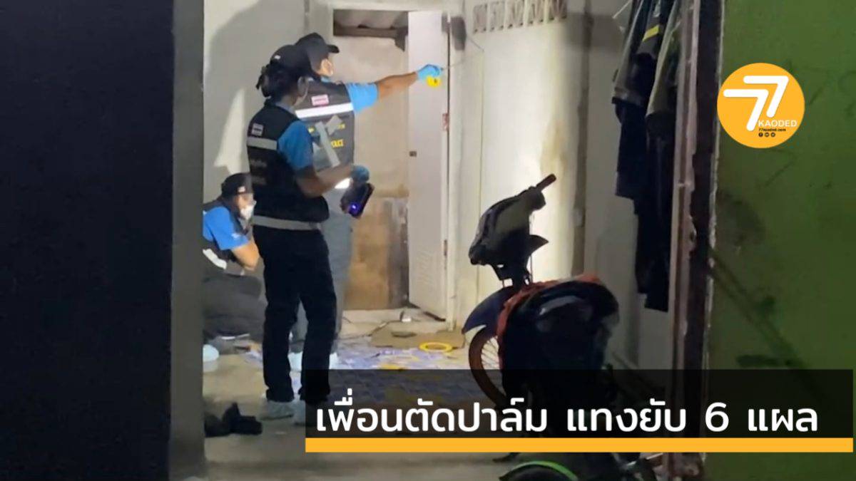 กระบี่-คนงานตัดปาล์มแทงเพื่อนยับ 6 แผล ไปตาย รพ. | 77kaoded | LINE TODAY