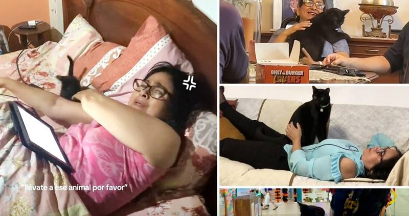 เธอคนนี้เก็บแมวมาเลี้ยง ใหม่ๆ แม่บ่น “เอามันไปไกลๆ” ตัดภาพมาที่ปัจจุบัน… เท้าแทบไม่ได้แตะพื้น ...