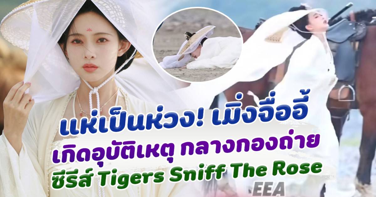 แห่เป็นห่วง! เมิ่งจื่ออี้ เกิดอุบัติเหตุกลางกองถ่าย Tigers Sniff The ...