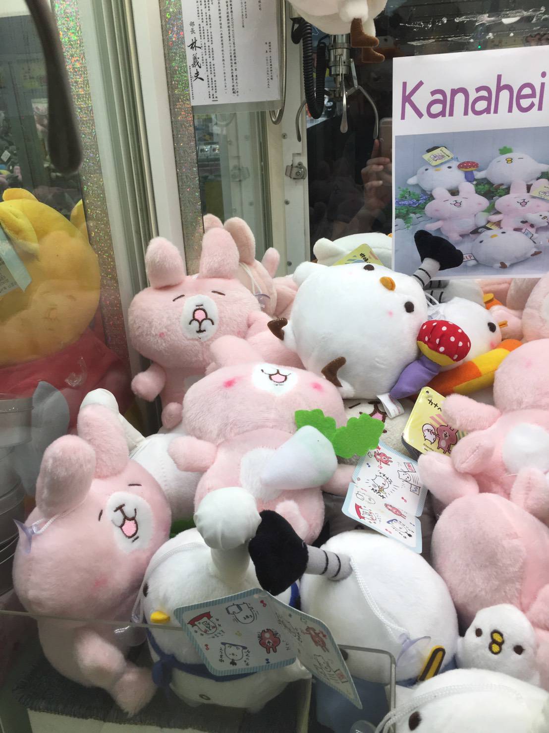 嘴巴鼻子裝反 卡娜赫拉娃娃瞬間變蒼老 | NOWnews 今日新聞 | LINE TODAY