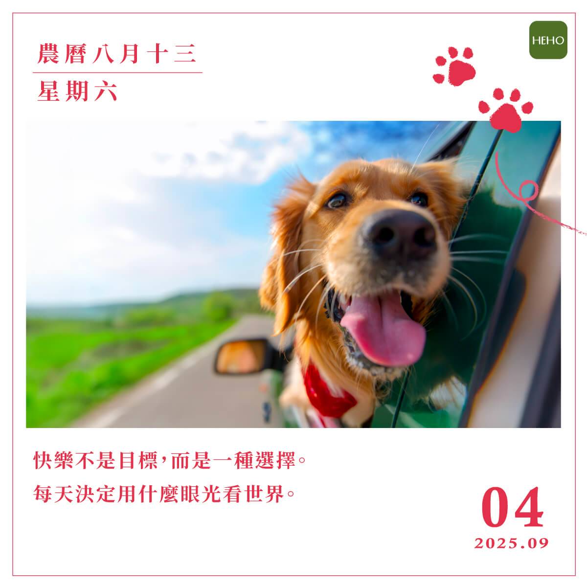 10月04日 快樂不是目標，而是一種選擇 | Heho健康 | LINE TODAY