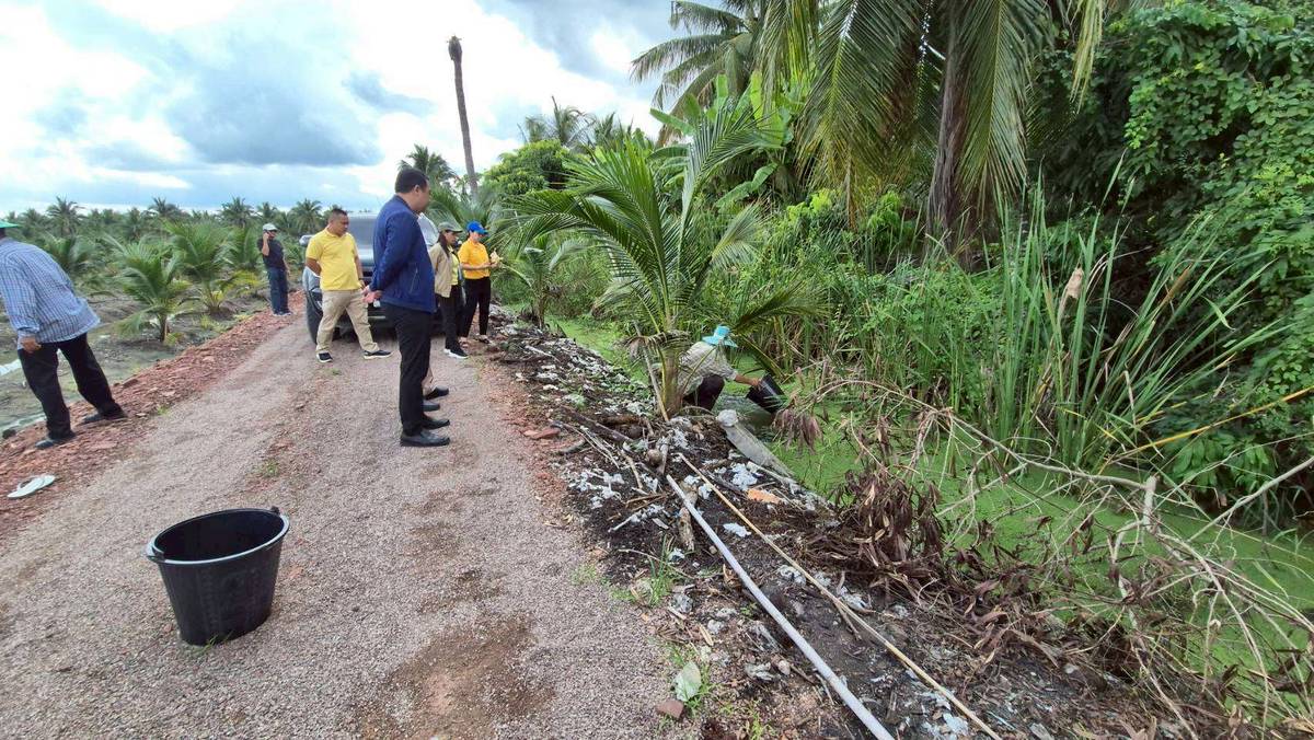 ชาวสวนผวาปลากระโดดหนีตาย หลังปล่อยลงน้ำวอนหน่วยงานตรวจคุณภาพน้ำด่วน | 77kaoded | LINE TODAY