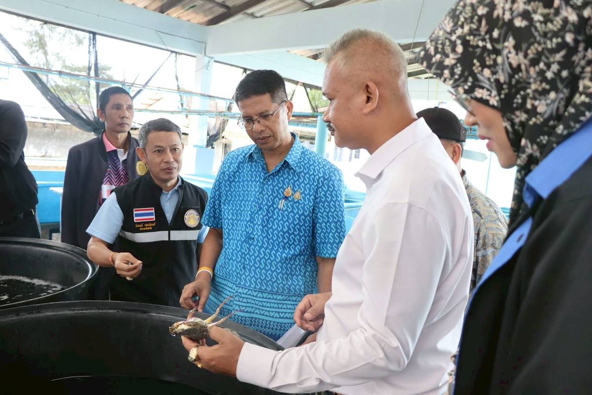 สตูลอบรมส่งเสริมธนาคารปูม้าอย่างยั่งยืน | 77kaoded | LINE TODAY