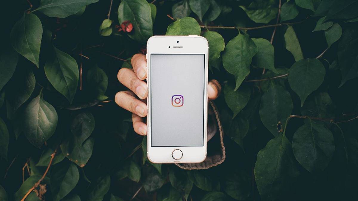 你的IG被登出了嗎？達人「5招」教你救回：先別登入 | EBC 東森新聞 | LINE TODAY