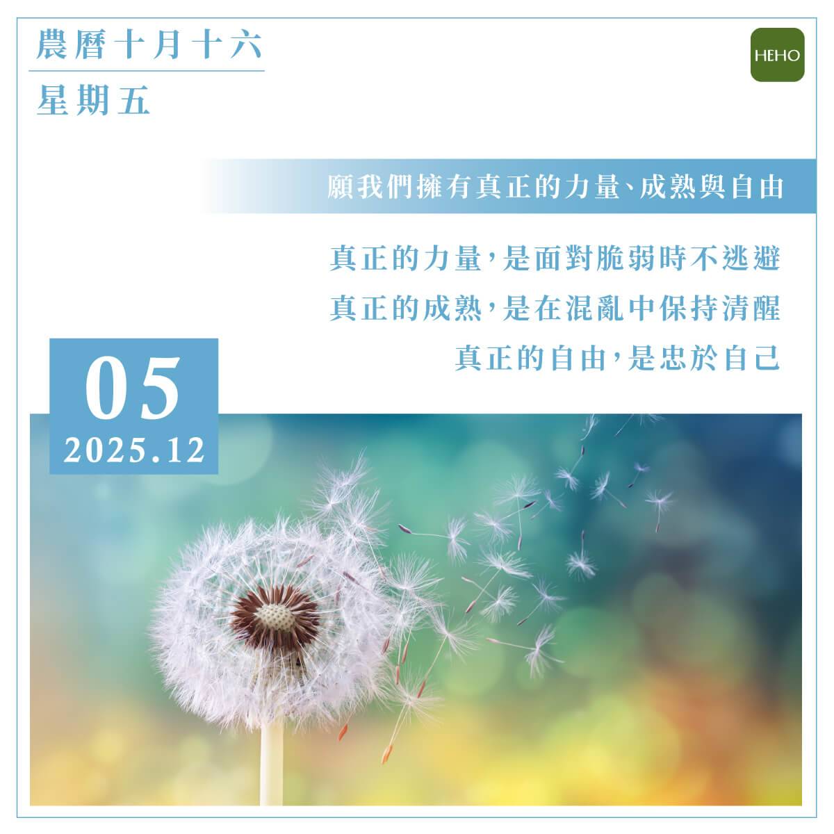 12月05日 真正的自由，是忠於自己 | Heho健康 | LINE TODAY