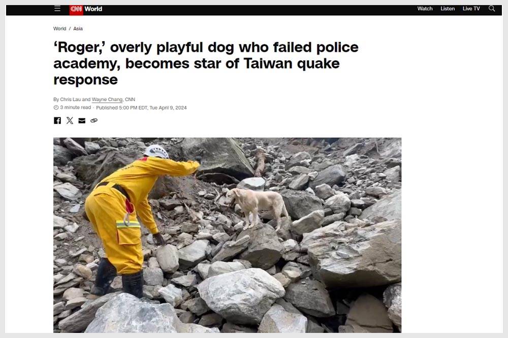 【有片】台灣搜救犬Roger震災立大功！登CNN首頁成國際犬明星 | 上報 | LINE TODAY
