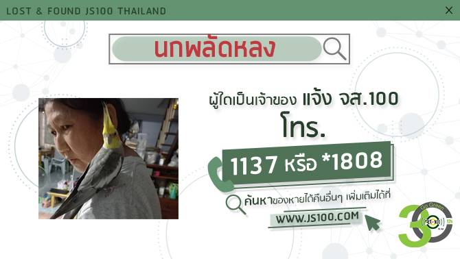 พบนกพลัดหลง บริเวณบ้านเคหะนคร ใกล้สวนหลวงร.9 ผู้ใดเป็นเจ้าของแจ้ง JS100 โทร *1808 หรือ 1137 ...