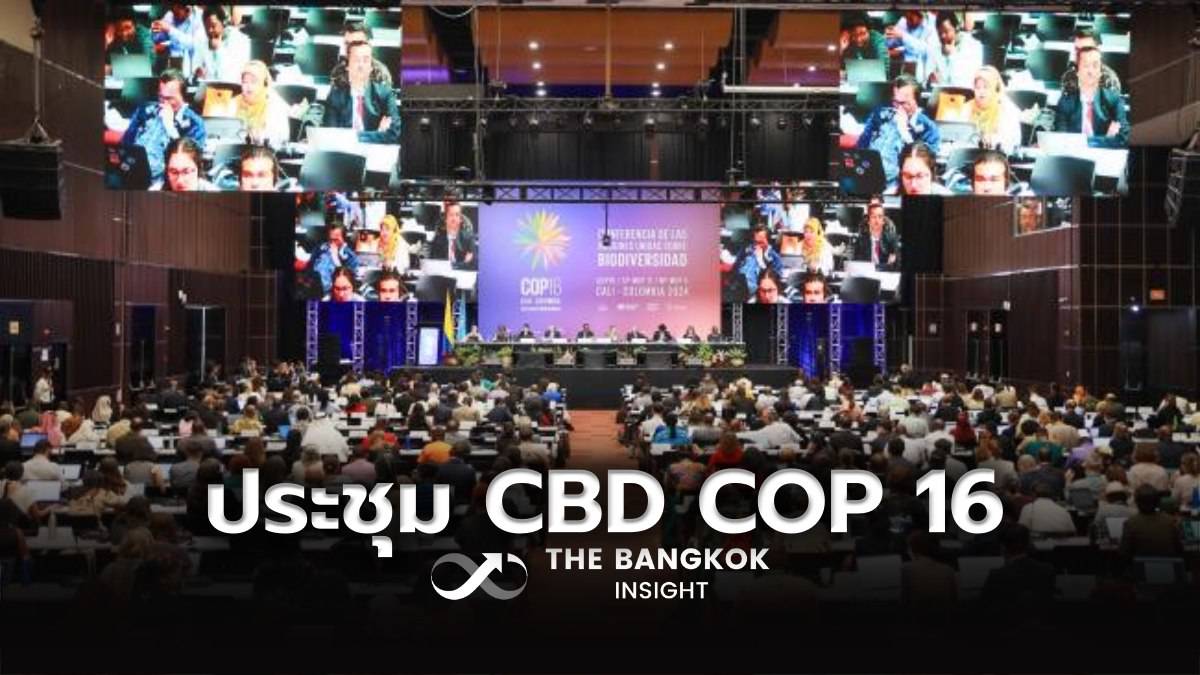 ไทยร่วมประชุม ‘CBD COP 16’ หยุดยั้งการสูญเสีย ฟื้นฟูความหลากหลายทาง ...