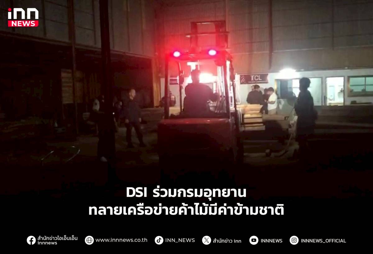 DSIร่วมกรมอุทยานทลายเครือข่ายค้าไม้มีค่าข้ามชาติ | INN News | LINE TODAY