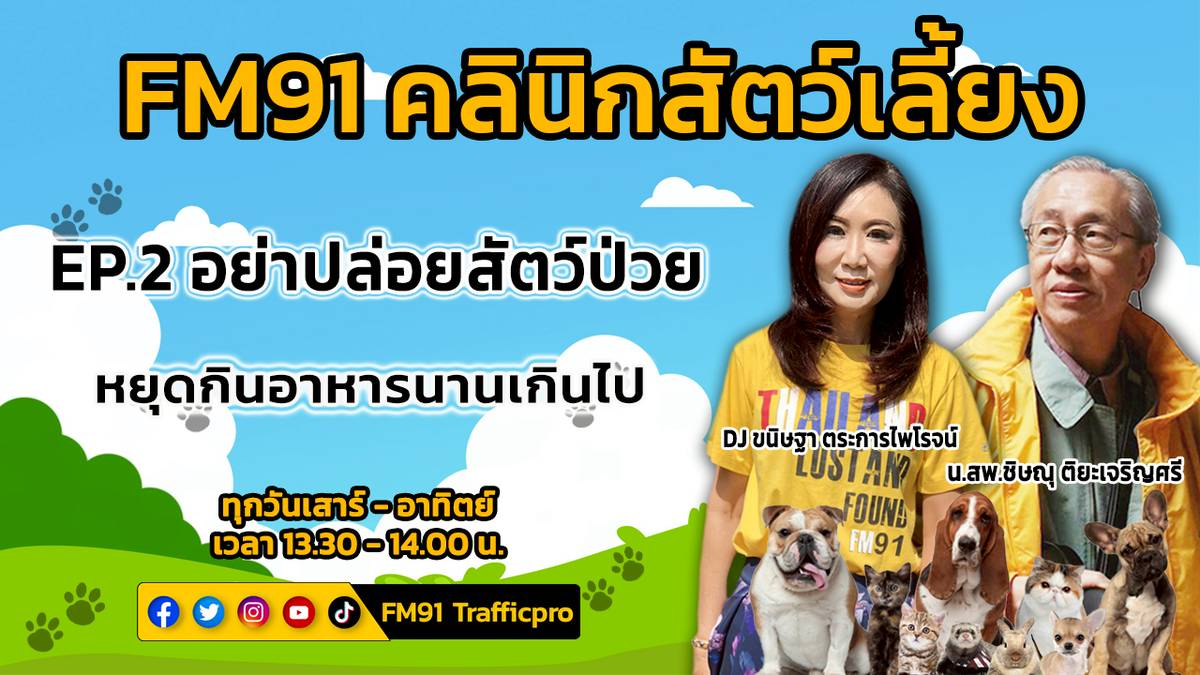 อย่าปล่อยสัตว์ป่วย หยุดกินอาหารนานเกินไป EP.2 : FM91 คลินิกสัตว์เลี้ยง : 11 มิถุนายน 2565 | สวพ ...