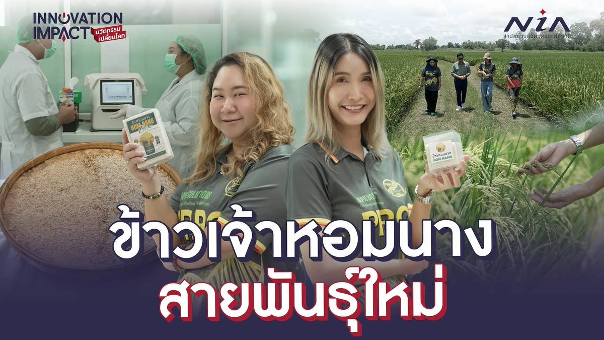 ข้าวเจ้าหอมนางสายพันธุ์ใหม่ : Innovation Impact | Techhub | LINE TODAY
