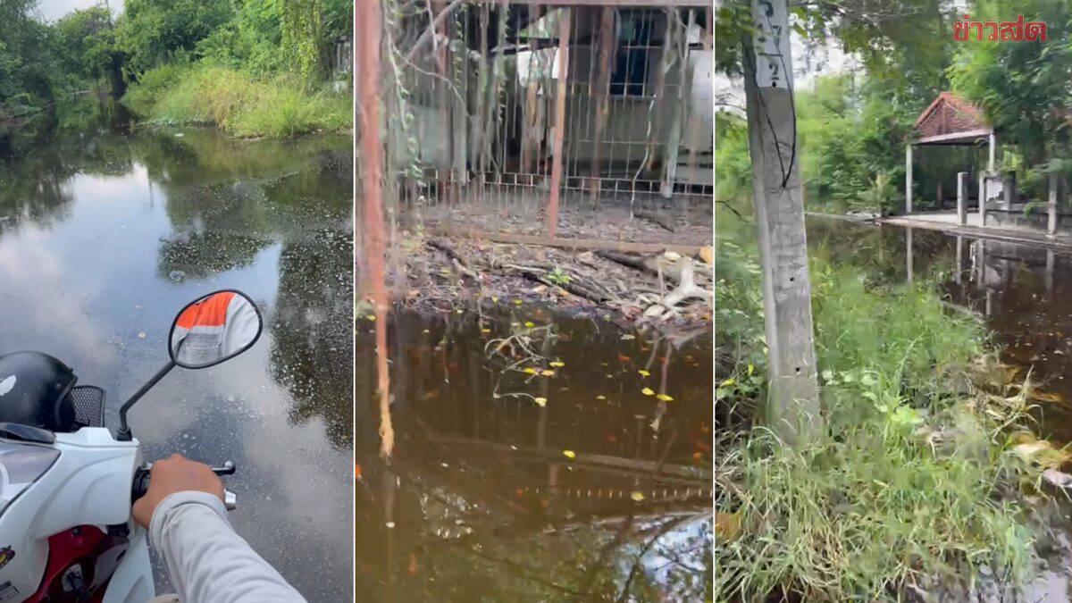 หมู่บ้านสุดหลอน หนุ่มจดมิเตอร์ไฟมา 6 ปี สภาพเหมือนในหนังผี เจ้าตัวเผยไม่ได้ร้าง | Khaosod | LINE ...