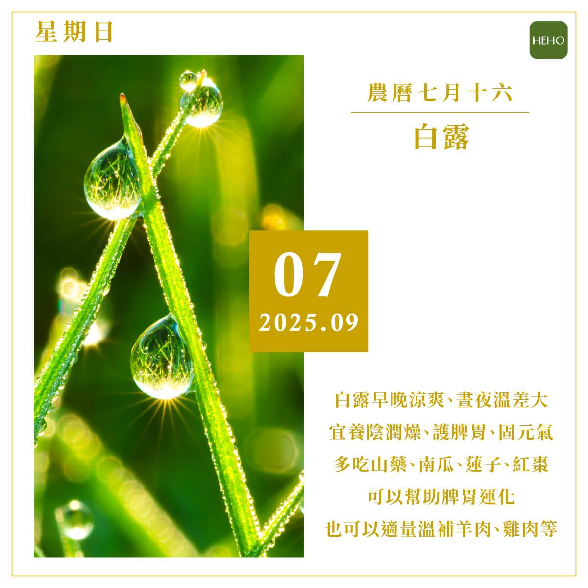 09月07日 白露 | Heho健康 | LINE TODAY