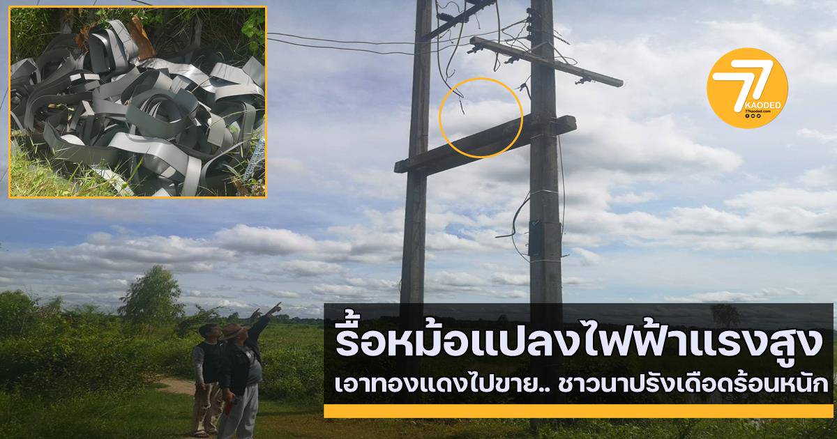 นครพนม แก๊งโจรแสบอาละวาด รื้อหม้อแปลงไฟฟ้าแรงสูงเอาทองแดงไปชั่งกิโลขาย | 77kaoded | LINE TODAY