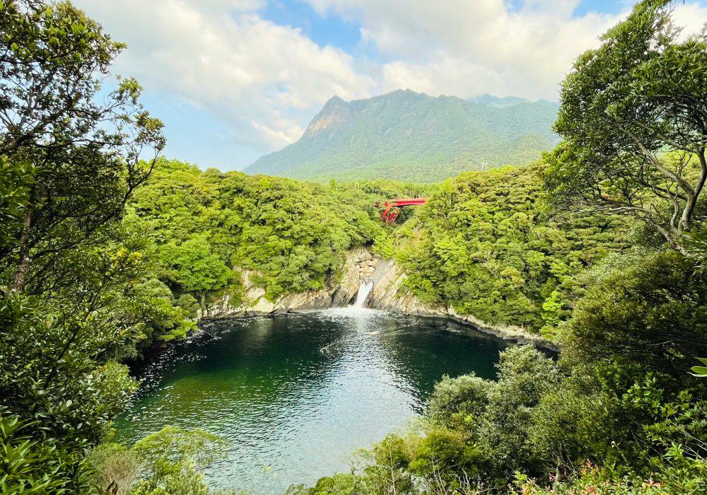 คู่มือเที่ยว 3 มรดกโลกสำคัญในจังหวัดคาโกชิมะ | conomi | LINE TODAY